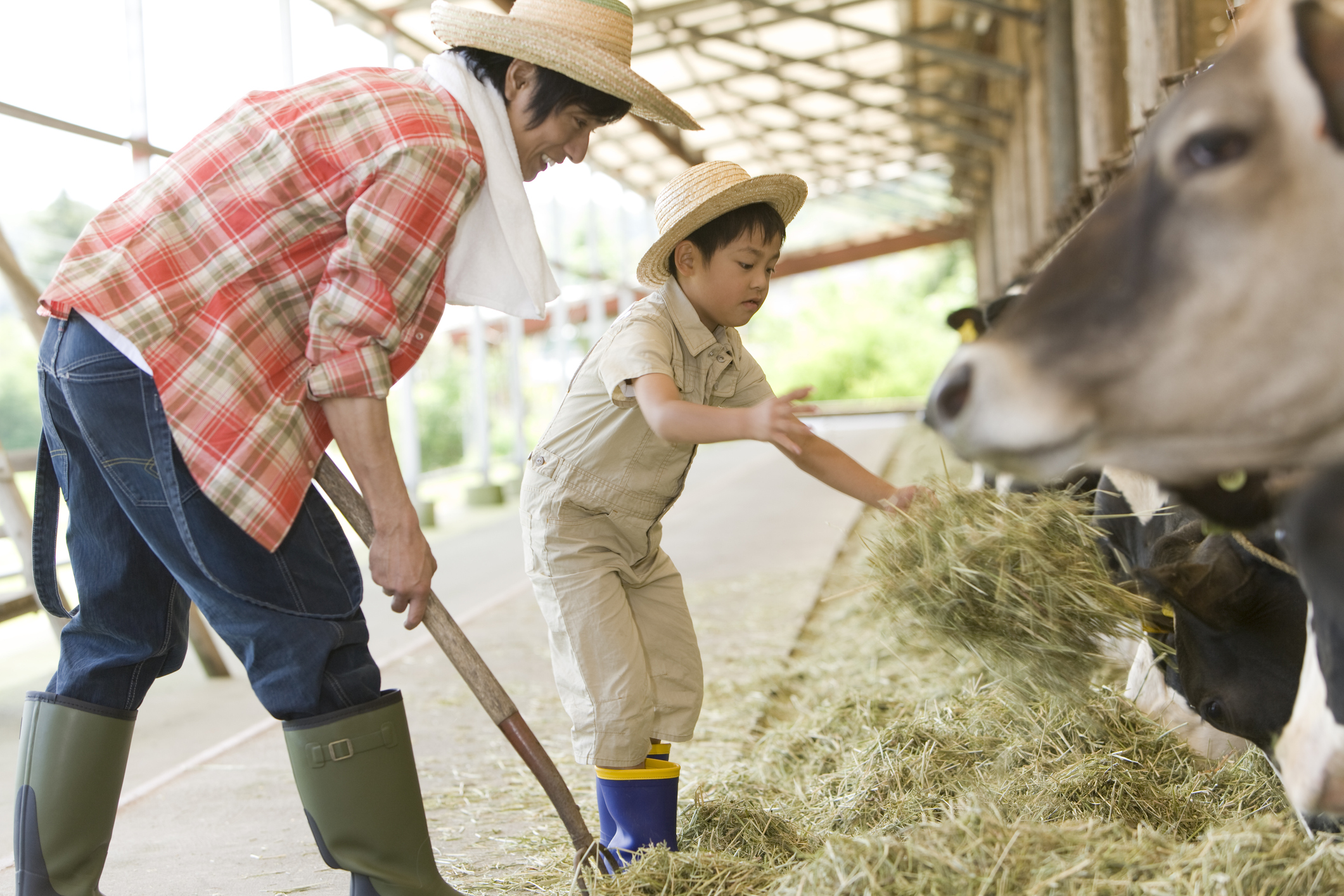 Protecting Child Agricultural Workers - Network for Public Health Law