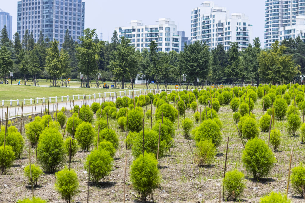 Public Health Law Strategies to Prevent and Reduce Human Health Impacts ...